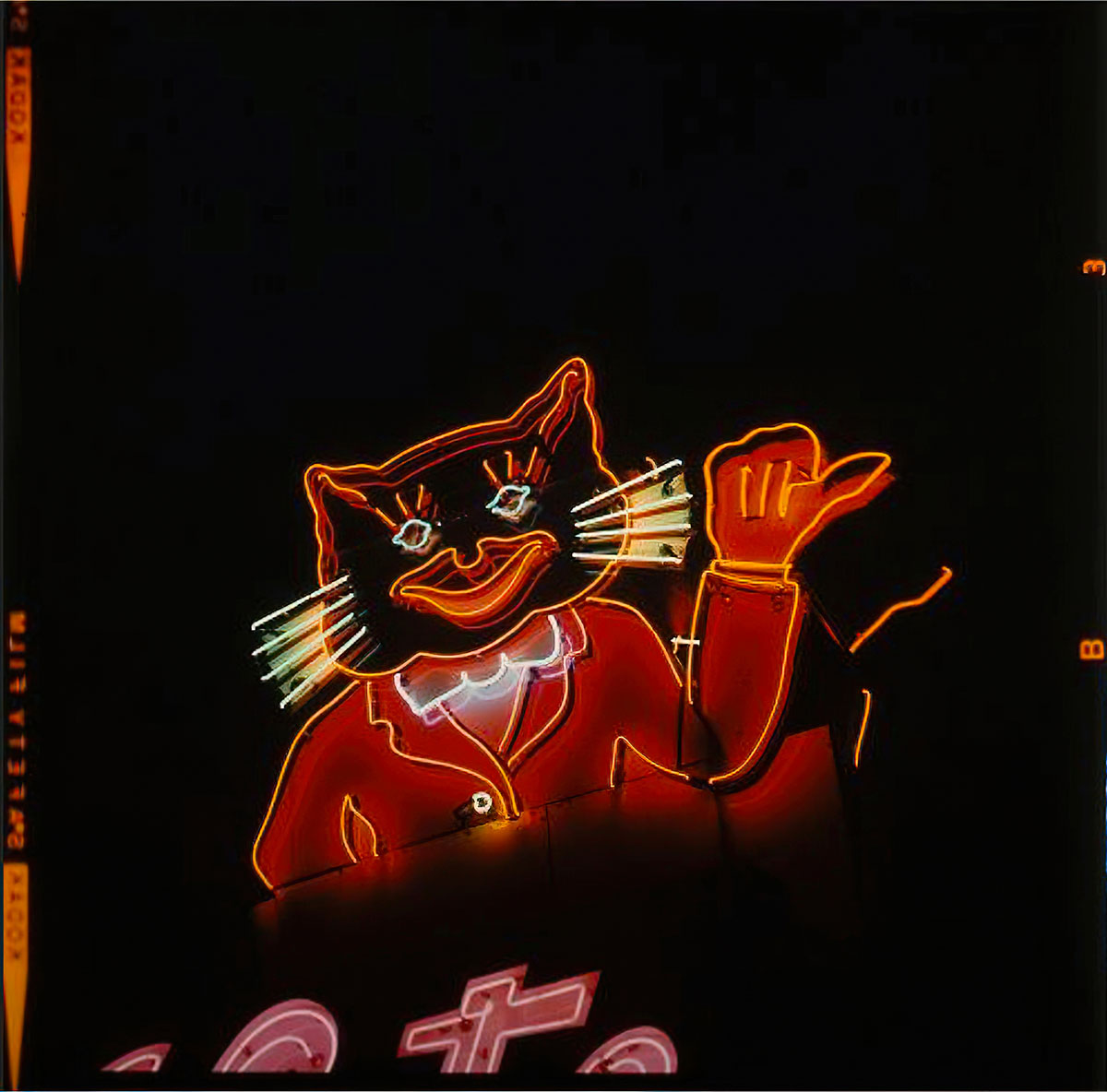 Katz | The Lumi Neon Museum